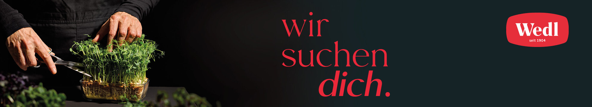 Wedl Handels-GmbH: Karrierechancen, Kontaktdaten, Fotos | karriere.at